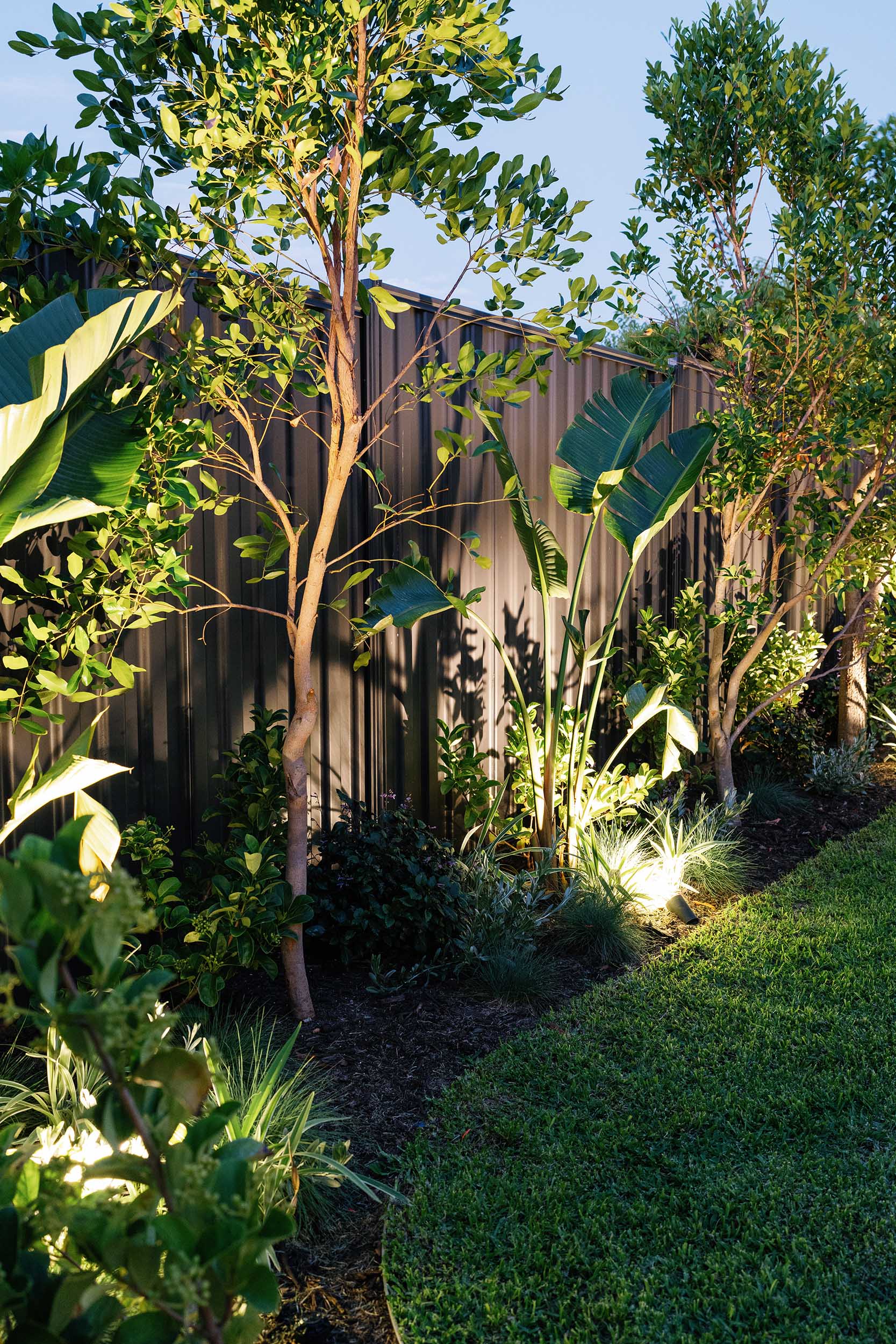 Plantation Garden Design | New Build Project Showcase